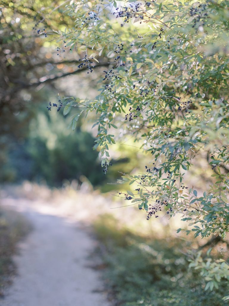 Fall Family Portraits in a Dallas Nature Preserve | Oak Cliff, TX ...